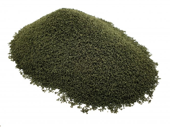 Nano Caridina Sticks – Heron's Pet World